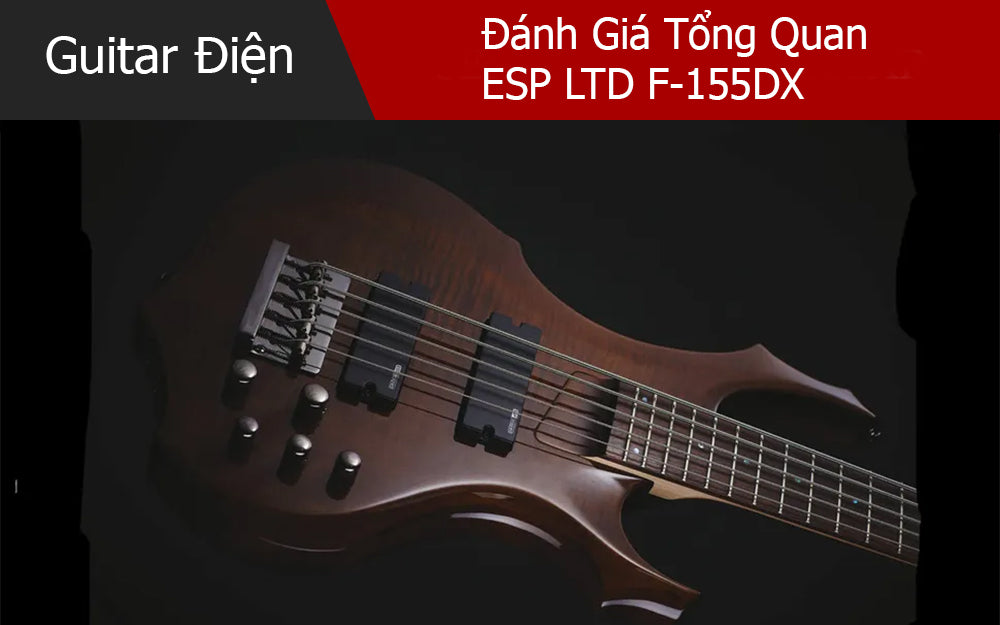 Đánh Giá Tổng Quan Bass ESP LTD F-155DX – Guitar Điện